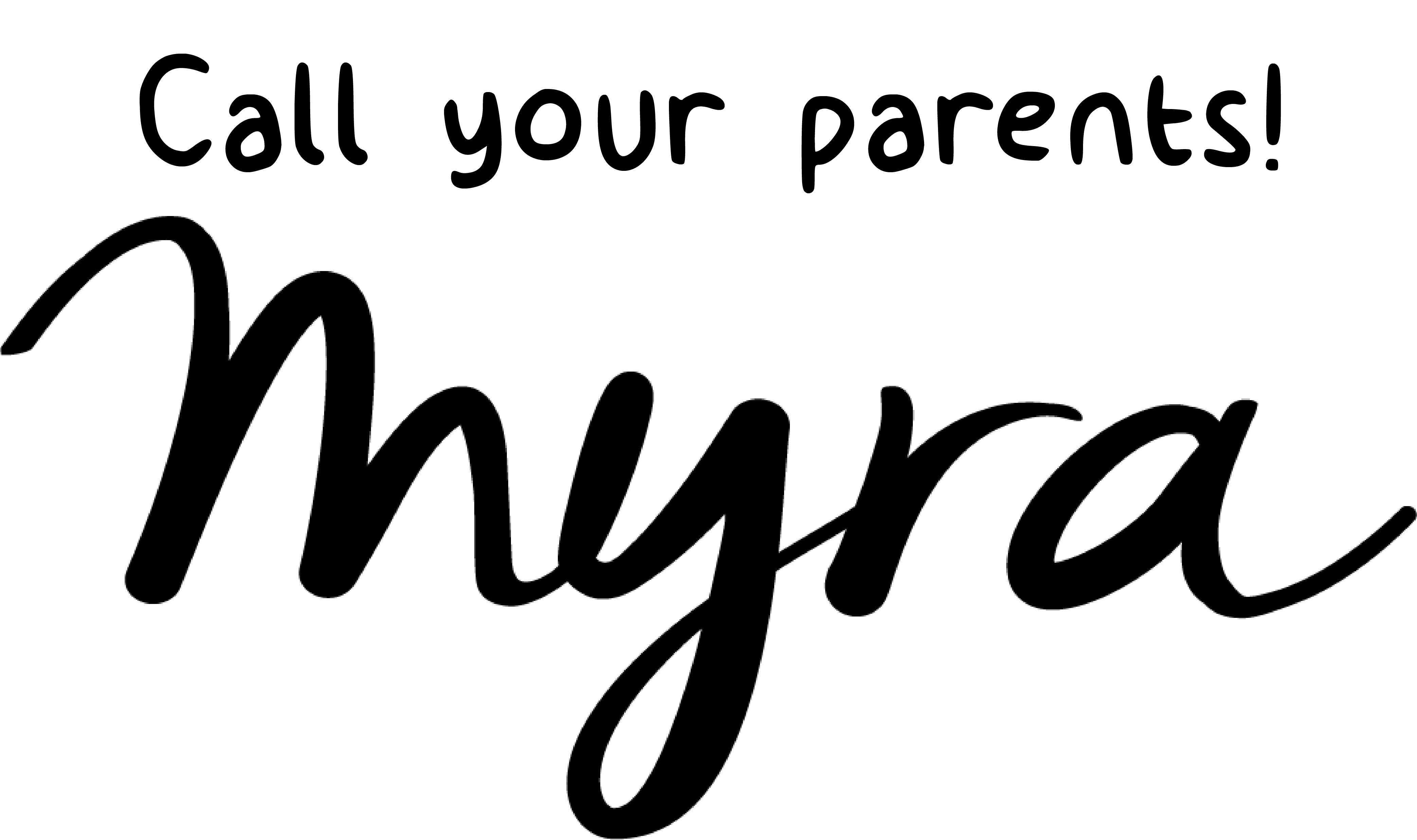 What is Skim Saraan Bercagar?